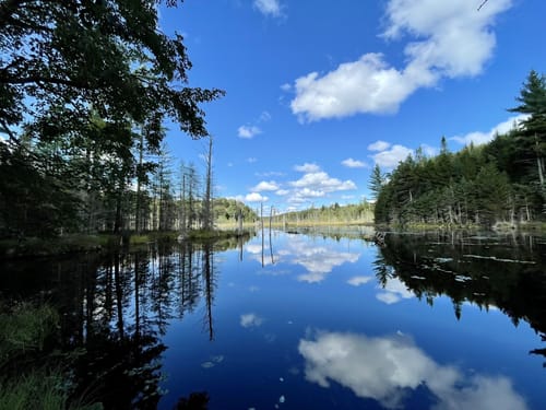 2023 Best Camping Trails in Five Ponds Wilderness | AllTrails