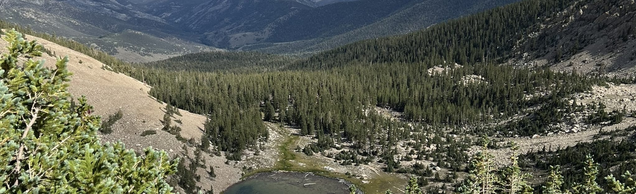 Baker Lake-Johnson Lake Loop - Nevada | AllTrails
