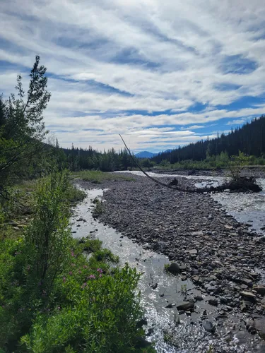 Best Hikes and Trails in Rock Lake Provincial Park | AllTrails