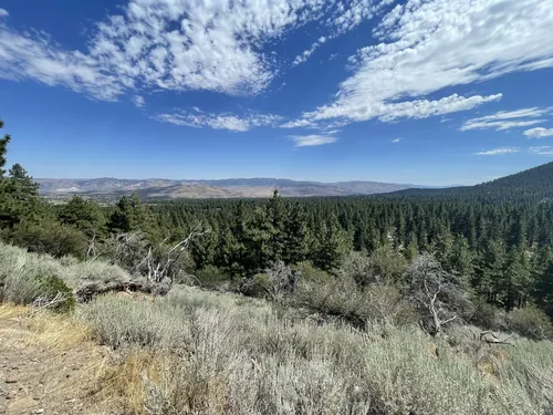 10 Best Trails and Hikes in Reno | AllTrails