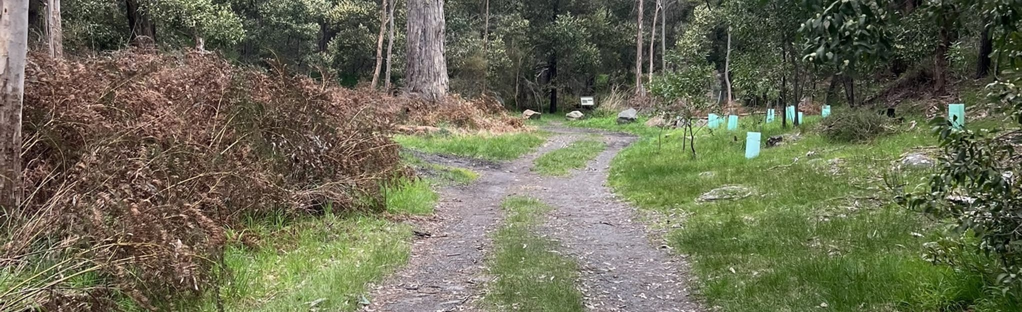 Aldgate to Mylor Loop Walk: 119 Reviews, Map - South Australia ...
