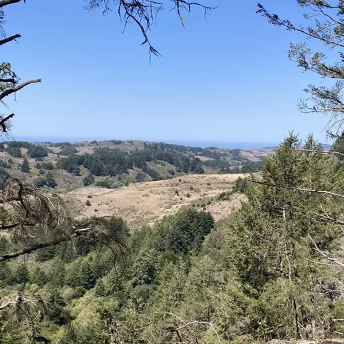10 Best Hikes and Trails in Butano State Park | AllTrails