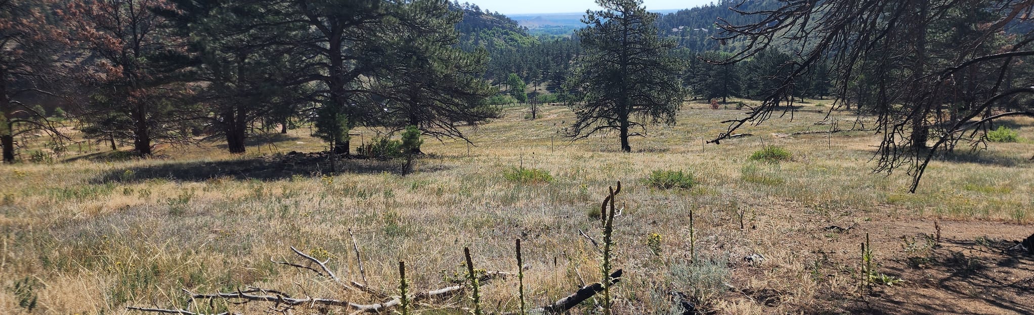 Overland Loop Trail: 148 Reviews, Map - Colorado | AllTrails