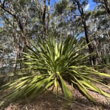 Stanwell Tops, New South Wales, Australia - 30 Reviews, Map | AllTrails