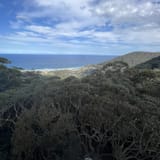 Stanwell Tops, New South Wales, Australia - 30 Reviews, Map | AllTrails
