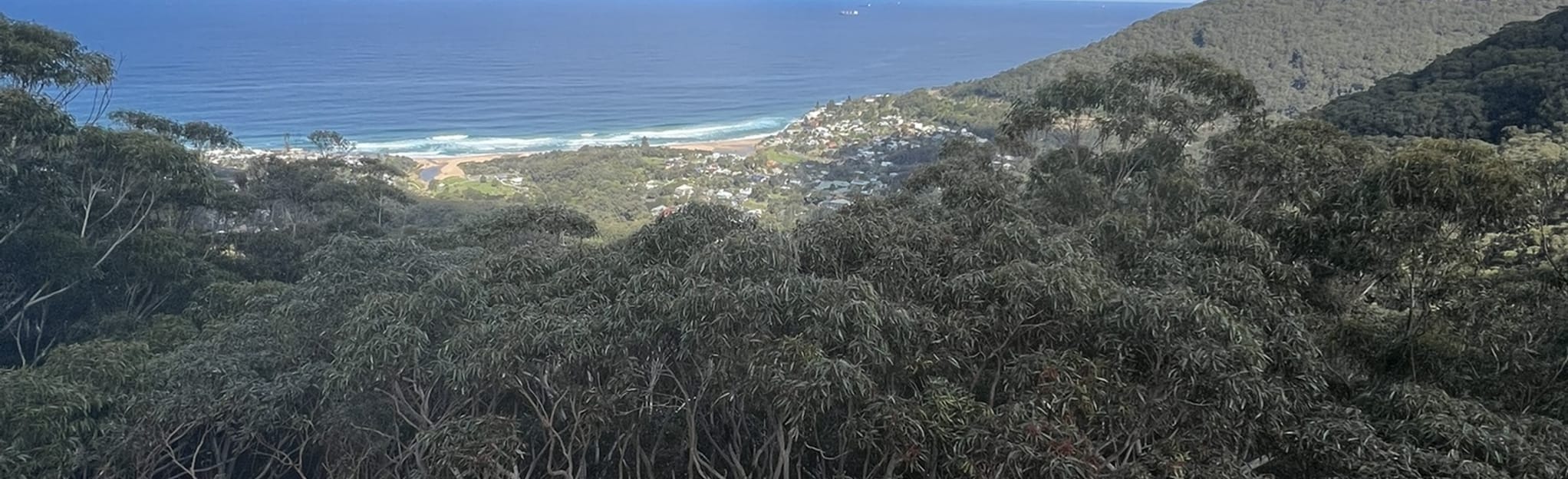 Stanwell Tops, New South Wales, Australia - 26 Reviews, Map | AllTrails