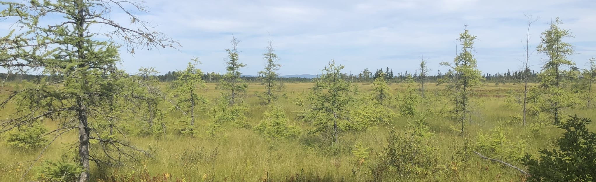 AllTrails | Saint-Narcisse de la Tourbière Trail: 20 Reviews, Map ...