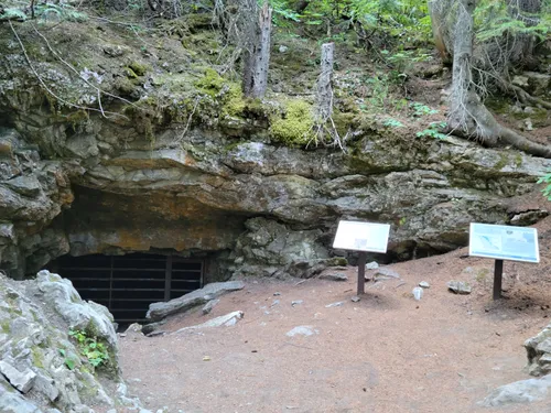 Best Hikes and Trails in Cody Caves Provincial Park | AllTrails