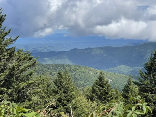 10 Best Hikes and Trails in Mount Mitchell State Park | AllTrails