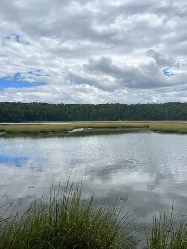 Best Hikes and Trails in Segerstrom Preserve | AllTrails