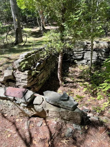 Best Hikes and Trails in Segerstrom Preserve | AllTrails