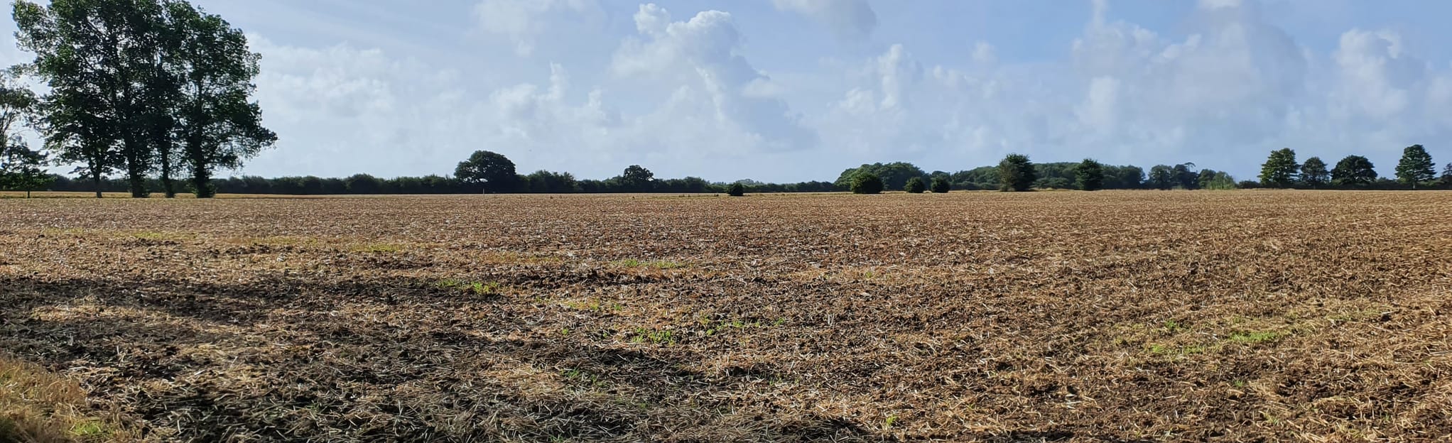 Flansham, Barnham and Yapton Circular: 19 Reviews, Map - West Sussex ...