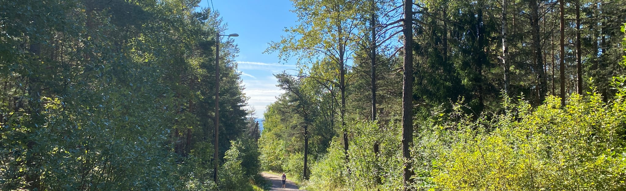 Kjelsås - Grefsenkollen - Disen, 21 Photos - Norway | AllTrails