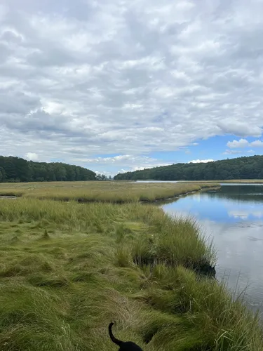 Best Hikes and Trails in Segerstrom Preserve | AllTrails