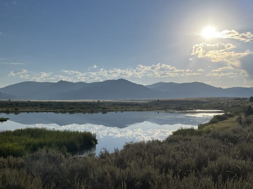 Best Hikes and Trails in Henrys Lake State Park | AllTrails