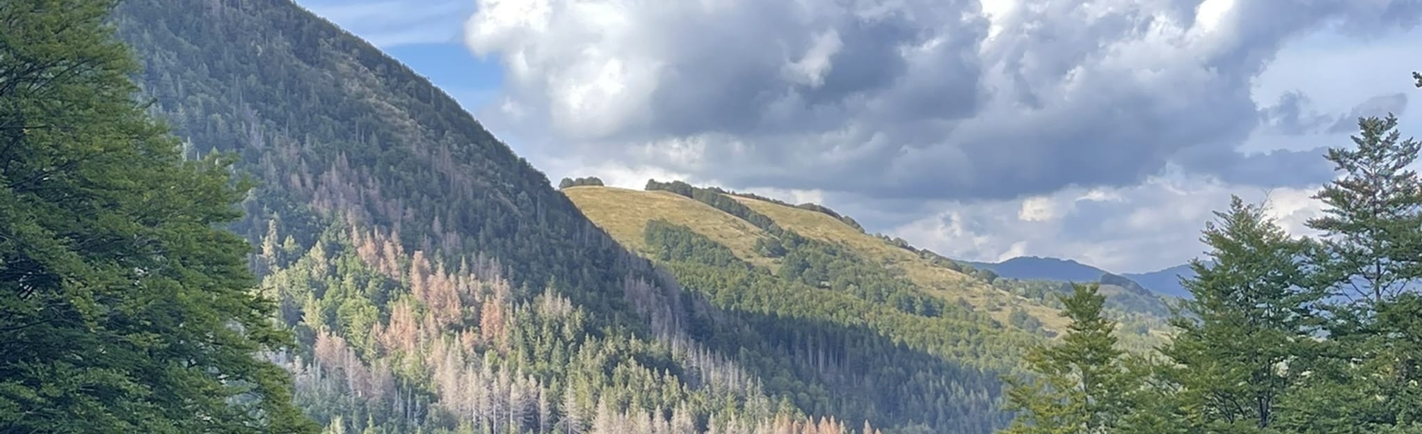 Bocchetta del Tavola via Monte Orsaro - Lago Santo : 58 Photos - Émilie ...