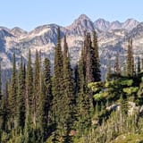 First Footsteps Trail, British Columbia, Canada - 36 Reviews, Map ...