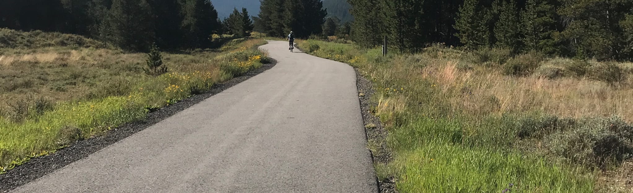 Chalk Mountain OHV Trail: 17 Reviews, Map - Colorado | AllTrails