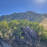 Red Butte Gardens Small Loop, Utah - 270 Reviews, Map | AllTrails