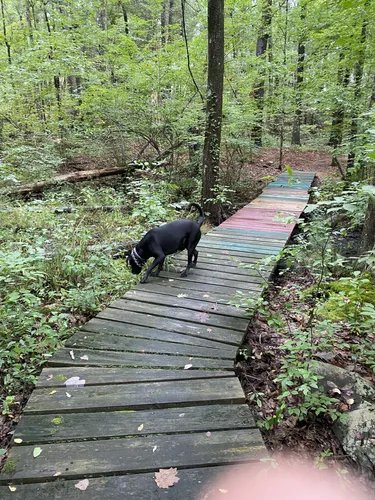 Best Hikes and Trails in Hackett Hill Park | AllTrails