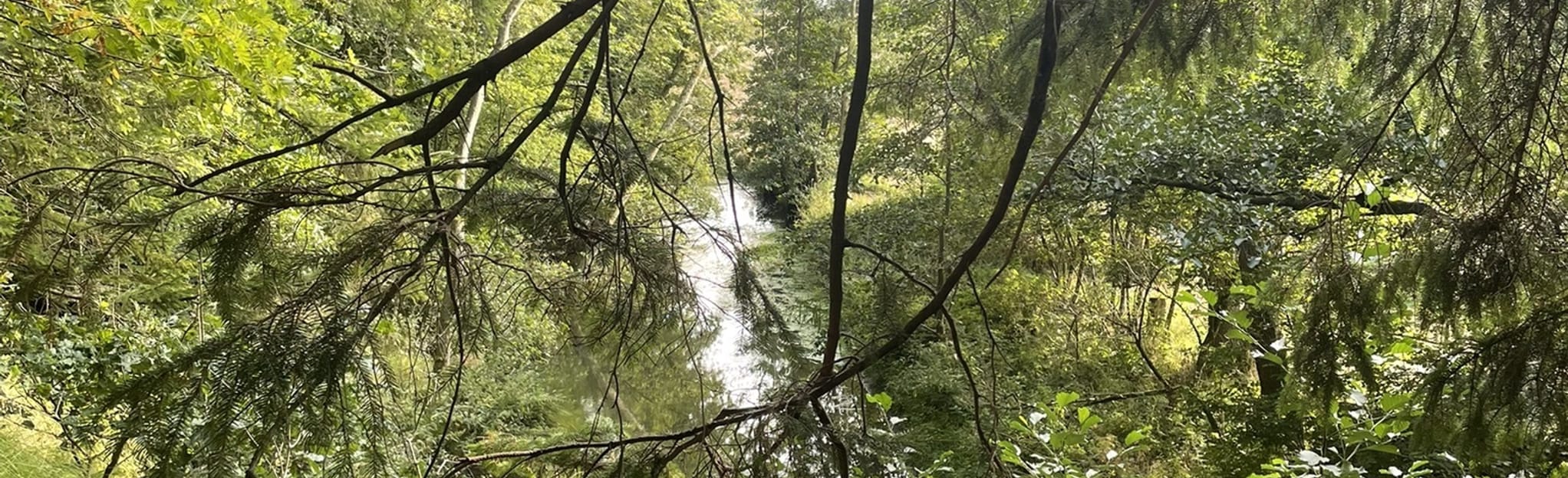 Elling Plantage Blue Trail, North Denmark Region, Denmark - 28 Reviews ...