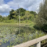 Ohio and Erie Canal Towpath: Botzum to Everett, Ohio - 611 Reviews, Map ...