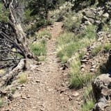 Red Butte Trail, Arizona - 196 Reviews, Map | AllTrails