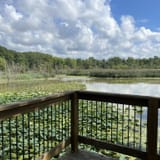 Huron River Path MetroPark, Ohio - 81 Reviews, Map | AllTrails