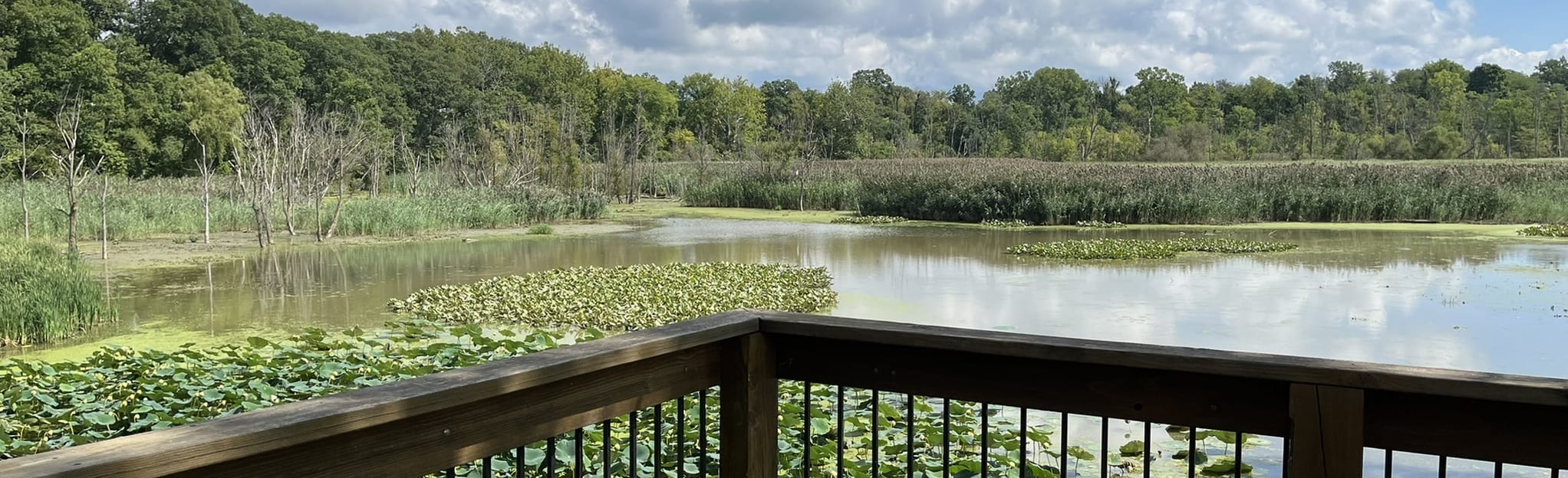 Huron River Path MetroPark: 59 Reviews, Map - Ohio | AllTrails