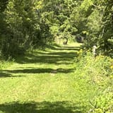 Huron River Path MetroPark, Ohio - 81 Reviews, Map | AllTrails