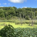 Huron River Path MetroPark, Ohio - 81 Reviews, Map | AllTrails