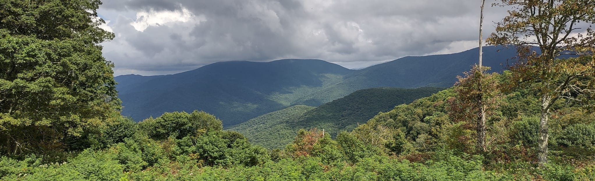 AllTrails | Licklog Gap Overlook: 153 Reviews, Map - North Carolina