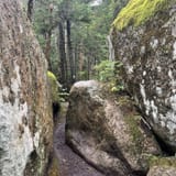 Dix Mountain via Dix Trail, New York - 352 Reviews, Map | AllTrails