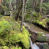 Dix Mountain via Dix Trail, New York - 352 Reviews, Map | AllTrails