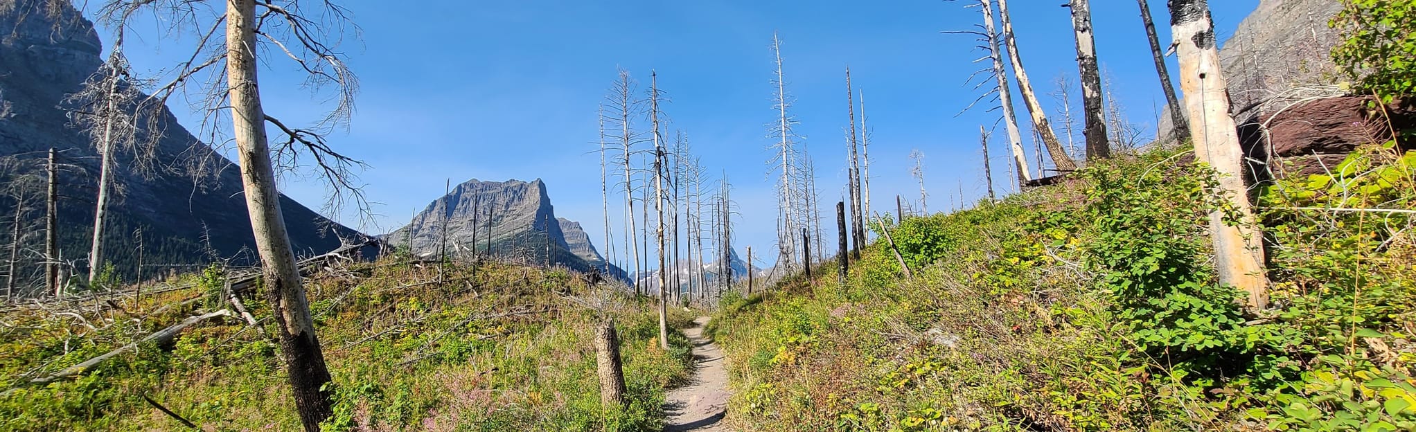 Baring Falls Via Piegan Pass Trail | Map, Guide - Montana | AllTrails