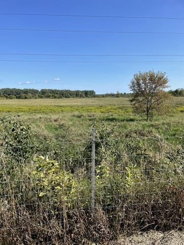 Best Hikes and Trails in Mike Levine Lakelands Trail State Park | AllTrails