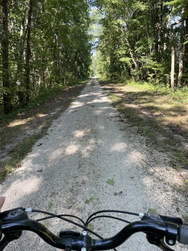 Best Hikes and Trails in Mike Levine Lakelands Trail State Park | AllTrails