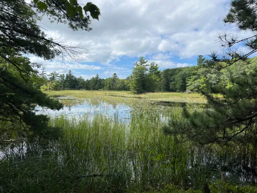 10 Best Backpacking Trails in Michigan | AllTrails