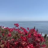 Shell Beach Bluff Trail, California - 127 Reviews, Map | AllTrails