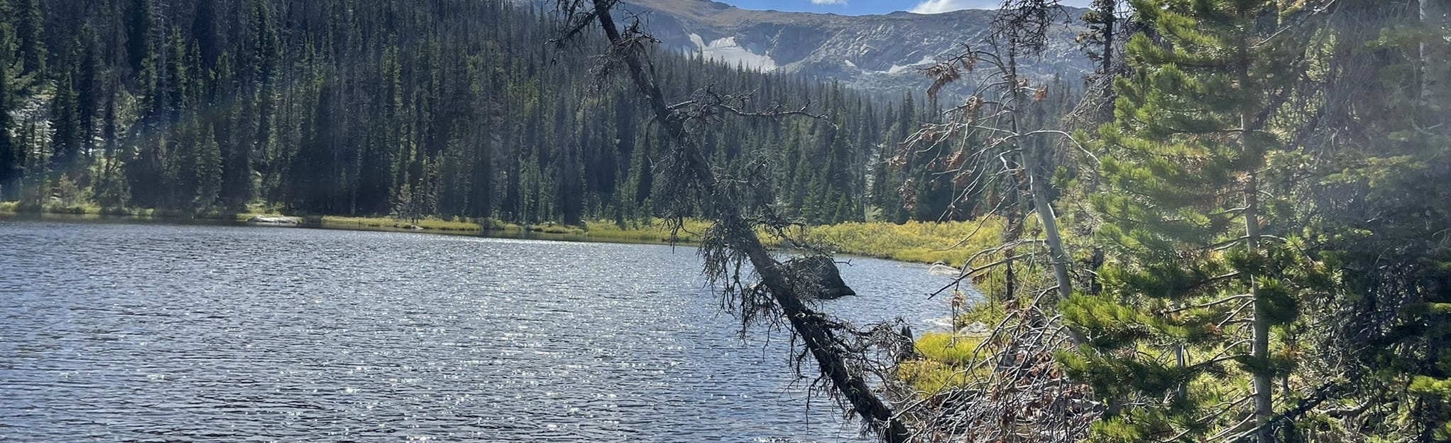 Moon Lake Trail: 5 Reviews, Map - Wyoming | AllTrails