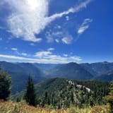 Evergreen Lookout Trail, Washington - 229 Reviews, Map | AllTrails