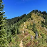 Evergreen Lookout Trail, Washington - 229 Reviews, Map | AllTrails