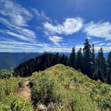 Evergreen Lookout Trail, Washington - 229 Reviews, Map | AllTrails