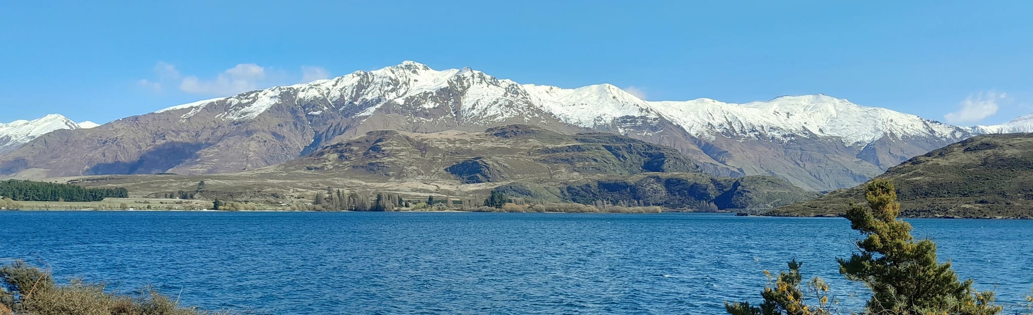 Wanaka Millennium Walkway: 98 Reviews, Map - Otago, New Zealand | AllTrails