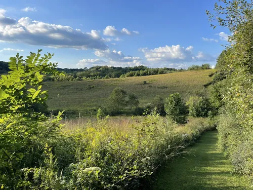 Best Short Trails in Wolf Run Regional Park | AllTrails