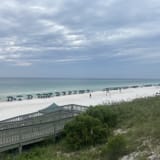 Timpoochee Trail, Florida - 250 Reviews, Map | AllTrails