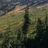 Devil's Dome Loop, Washington - 93 Reviews, Map | AllTrails