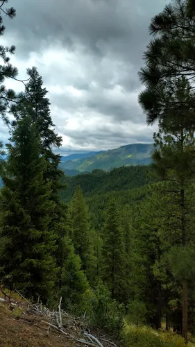 Best Hikes and Trails in Fish Creek State Park | AllTrails