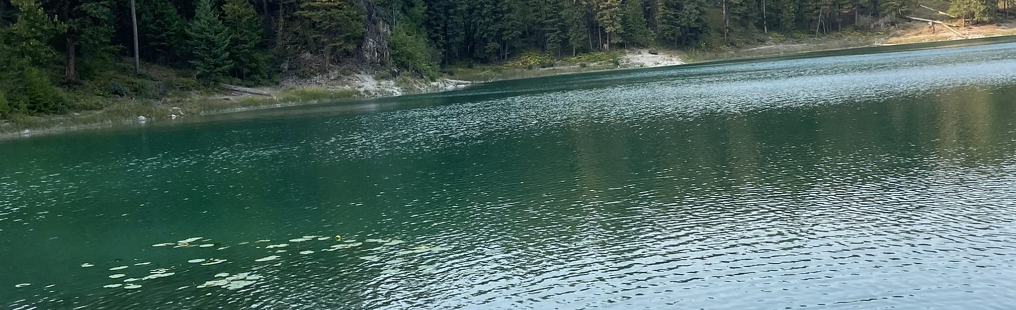 Murray Lake: 30 Reviews, Map - Montana | AllTrails