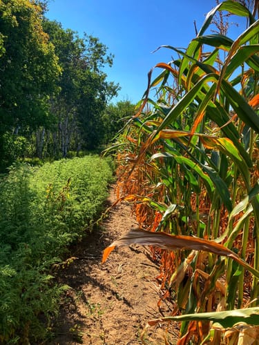 Best Hikes and Trails in Stephenfield Provincial Park | AllTrails
